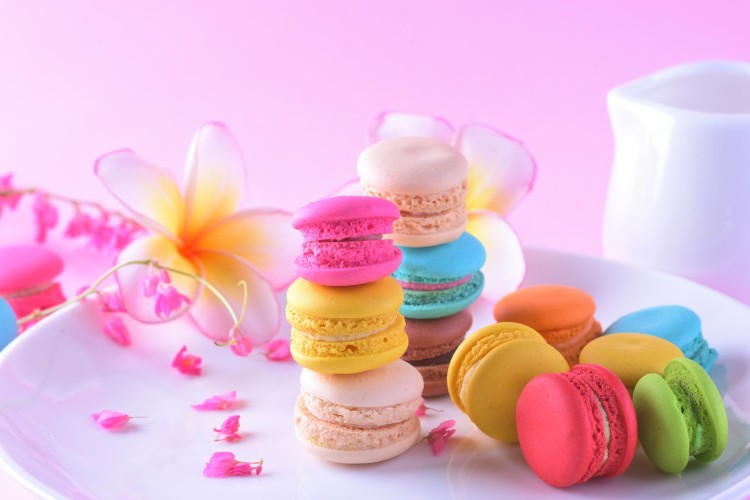 Sweet Macaron Captions for Instagram