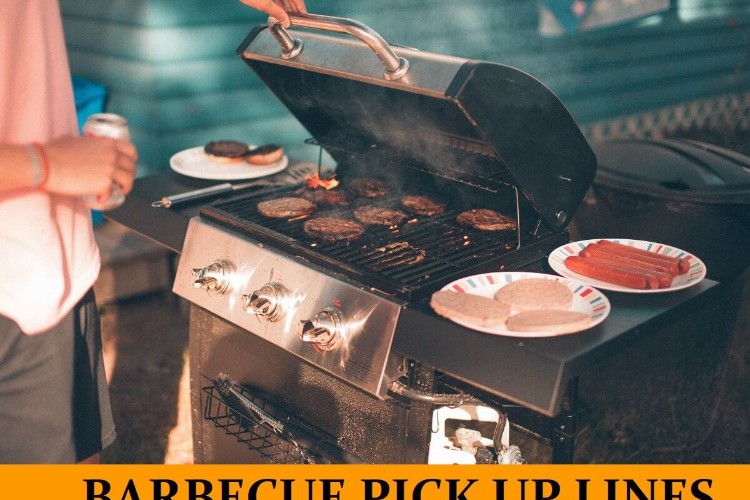 Best 40 Barbecue Party Pick Up Lines